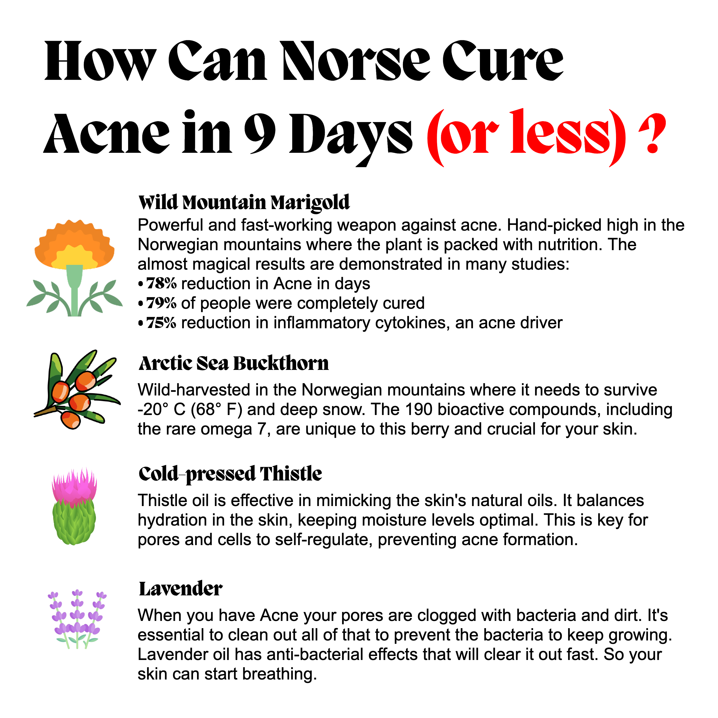 Kill Acne & Redness Ritual